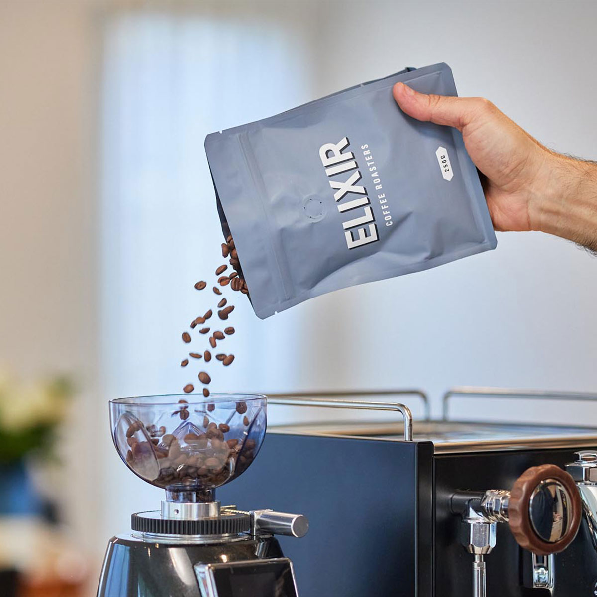 Specialty Roasters in Queensland | About Us